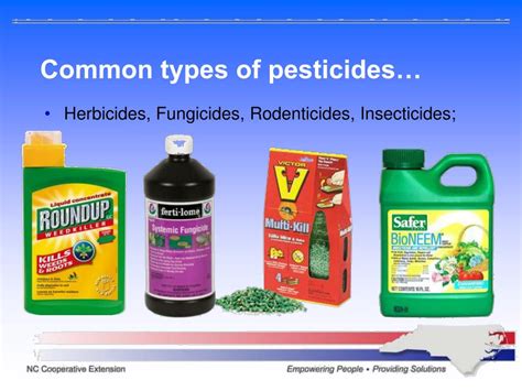 Types Of Microbial Pesticides At Danielle Wells Blog