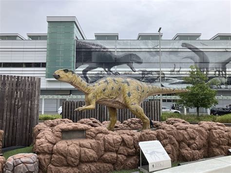 福井駅 恐竜広場 金の翼に乗って