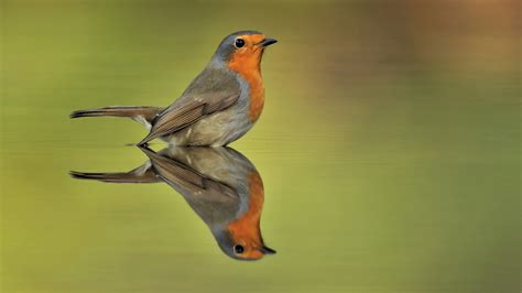Deel De Natuur