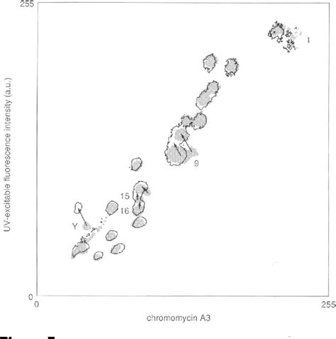 Table 3 From Chromosome Heteromorphism Quantified By High Resolution Bivariate Flow Karyotyping
