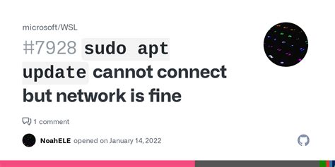 Sudo Apt Update Cannot Connect But Network Is Fine Issue