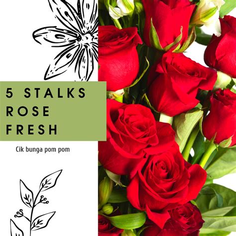 🌷5pcs Roses 玫瑰 Fresh Flower Bunga Segar Rose Cameron Highlands
