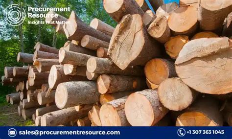 Softwood Lumber Production Cost Analysis Report
