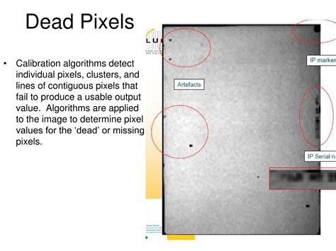 Ppt Qcpacs Artifact Identification Powerpoint Presentation Free