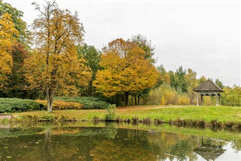 有关下落 休閒 优美的风景 公園 冷靜 反射 和平的 和諧 天性 娛樂 季节性变化 寧靜 开放空间 开阔的天空 戶