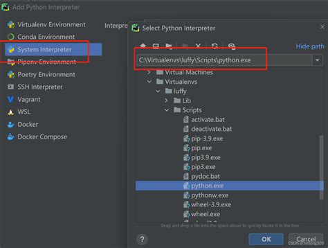 Luffy前传 Csdn博客