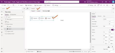 Radio Button Checkbox And Toggle Powerapps Control
