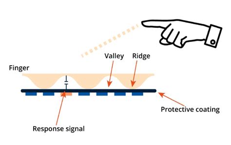 Capacitive Fingerprint Sensing Architecture [53] Download Scientific