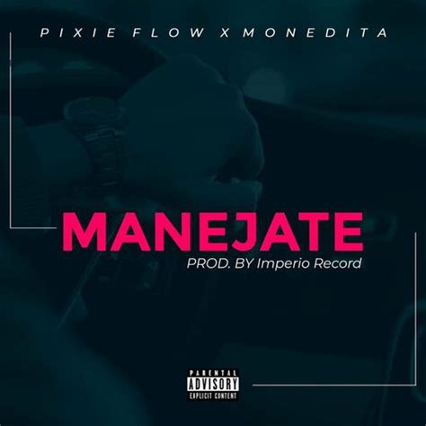 Artista Pixie Flow Conexion Musical