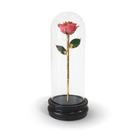Pink Rose Ts With Premium Glass Dome Infinity Rose Usa