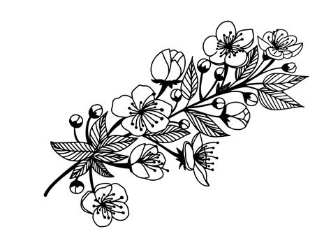 Kleurplaat Bloemen 26 Superleuke Gratis Kleurplaten Bloemen Kleurplaten
