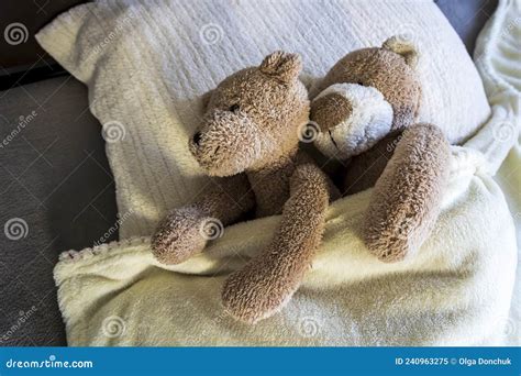 Dois Ursos Peludos Dormindo Na Cama Imagem De Stock Imagem De Fofofo