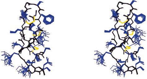 Stereo View Of Nmr Structure Ensemble Of Cd4m3 20 Models Are Shown