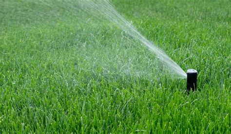 Professional Sprinkler System Testing In Aiken Sc