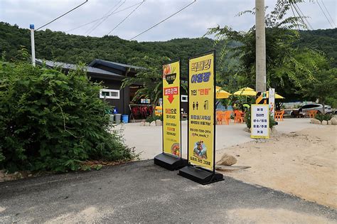 경기도 포천시 도마치 자연그대로 캠핑장 도마치계곡에 위치한 백패킹 캠핑장