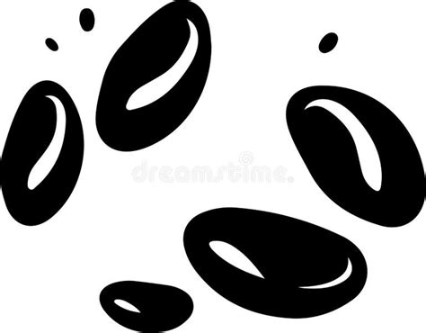 Bean Lima Stock Illustrations 166 Bean Lima Stock Illustrations