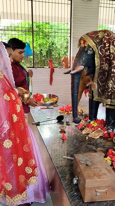 शशि के भाई माँ काली के दरबार में Youtubeshorts Shortvideo Viralvideo