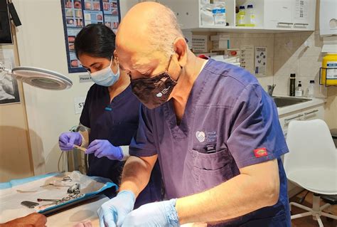 Adult Circumcision Clinic Melbourne Virtually Painless Circumcision