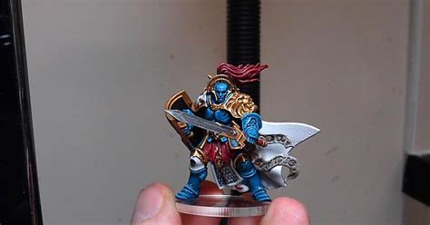 Celestial Vindicator Knight Questor And His Chicken Dog After 16 Hrs