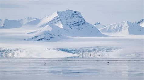 Fonte Des Glaces Des Forages Lancés En Arctique Pour Sauver Des