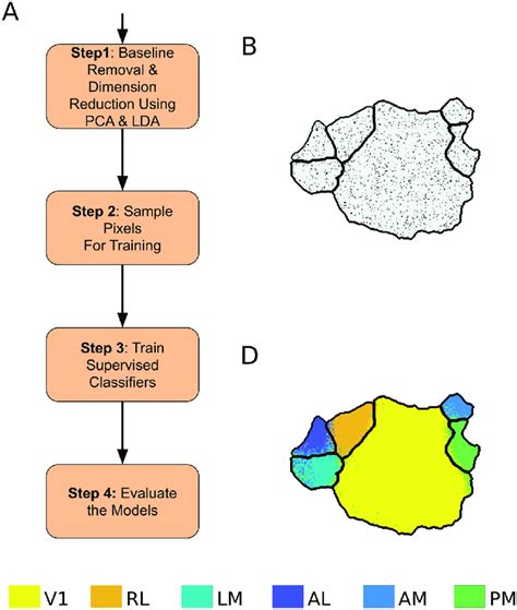 Pipeline For Supervised Classification Of Visual Areas A Block