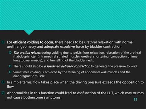 Basics Of Urodynamic Tests For Lower Urinary Tract Obstruction And Incontinence Pptx
