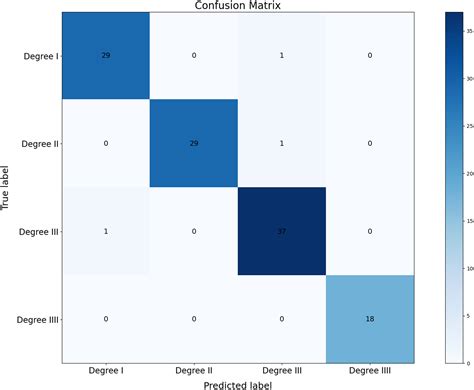 Convolutional Neural Network Models For Automatic Diagnosis And Graduation In Skin Frostbite