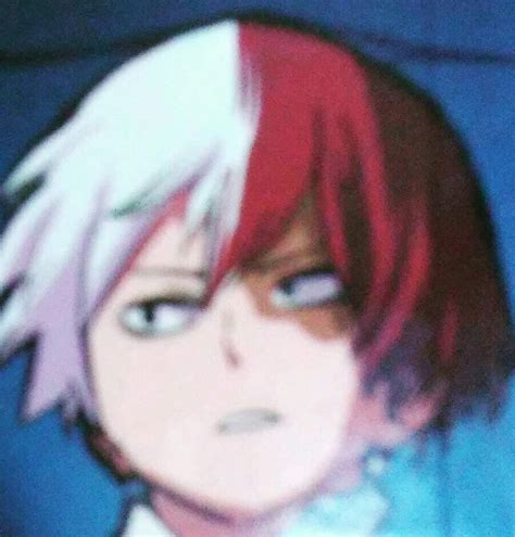 Todoroki Derp My Hero Academia Amino