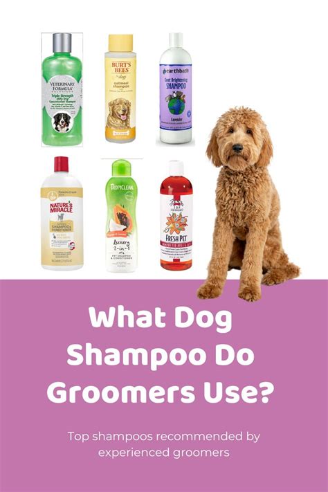 What Dog Shampoo Do Groomers Use Here Are Their Favorites