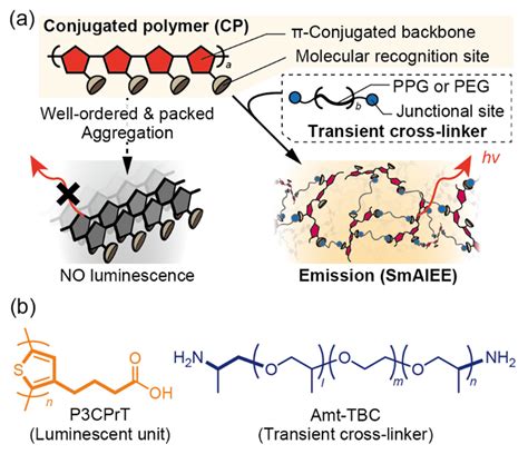 Fluorescence Quenching