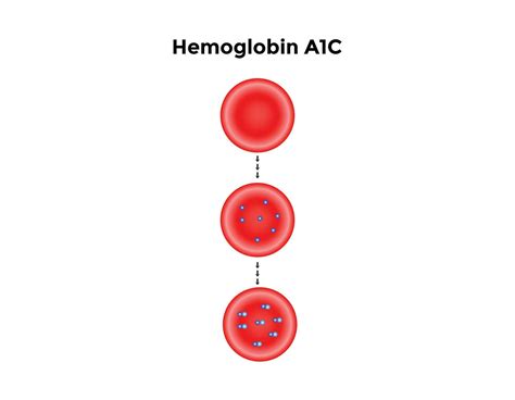 Scientific Designing Of Glycosylated Hemoglobin Formation Colorful