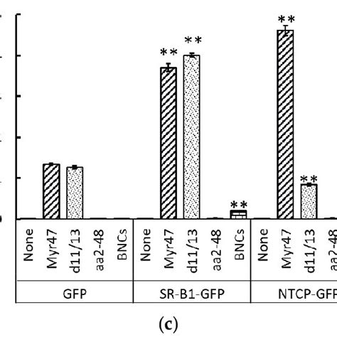 Overview Of The Diverse Role Of Scavenger Receptor Class B Type Ⅰ In