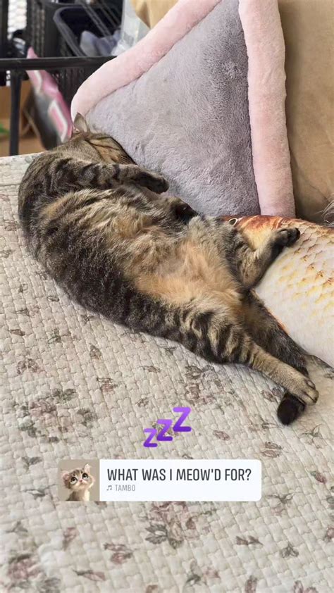 Coco And Tiger Coco And Tiger Added A New Photo