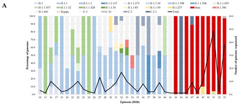 Prevalence Of SARS CoV 2 Lineages Over Time From 2020 To 2022 By