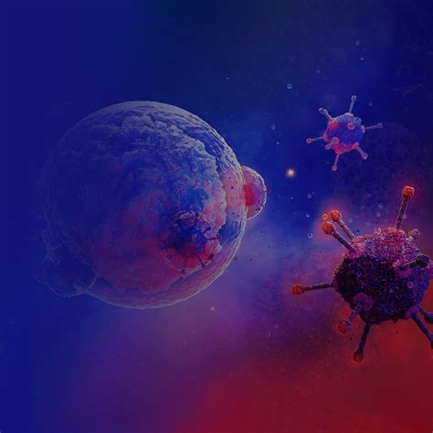 Harnessing The Immune System For Cancer Cell Therapy Syngene