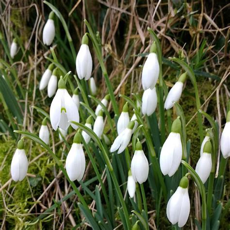 Thurnham Hall Resort Cockerham Updated Prices 2025