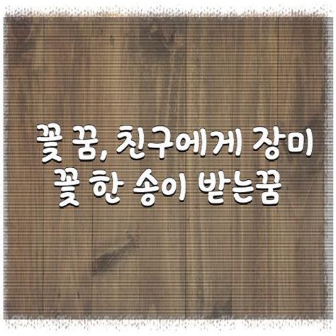 꽃 꿈 친구에게 장미꽃 한 송이 받는꿈