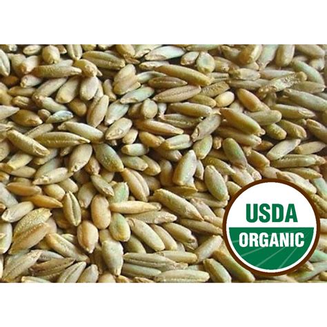 Rye Berries 5 Lbs