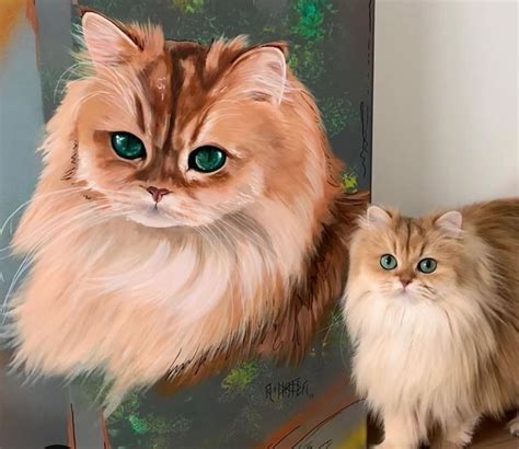14 Signs Youre A Crazy Cat Lady The Odyssey Online