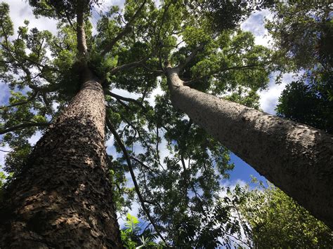 SOLUTIONS Ecosystem Exchange