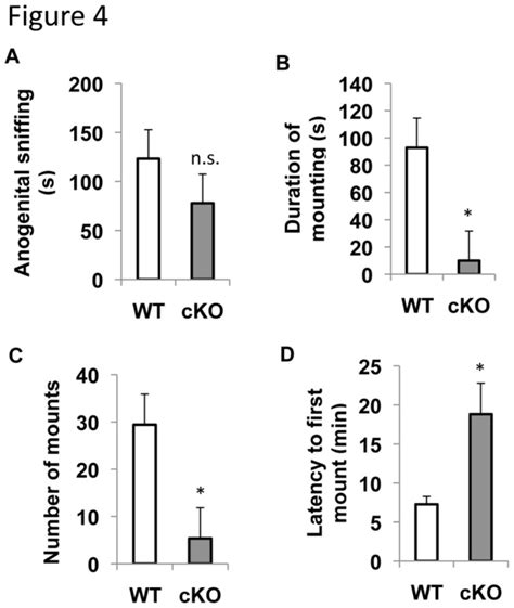 The Mating Behavior Assay Was Performed By Introducing An Estrous Download Scientific Diagram