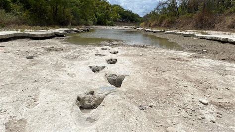 Dinosaur Tracks From 113m Years Ago Have Become Visible Amid Drought