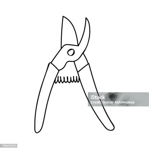 벡터에서 손으로 그린 자두 그림 벡터의 낙서 자두 그림 손으로 그린 정원 가위 가위에 대한 스톡 벡터 아트 및 기타 이미지