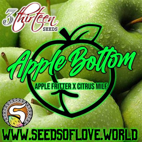 Apple Bottom 3thirteen Seeds Seeds Of Love