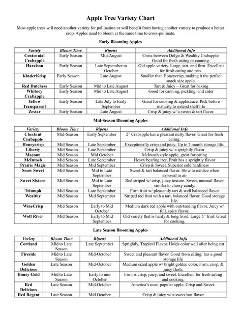 Apple Tree Variety And Pollination Guide — Ivy Trails T And Garden