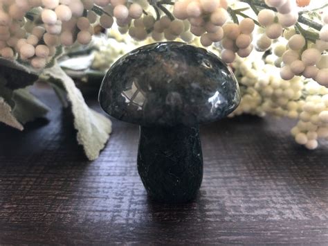 Moss Agate Mushroom 2