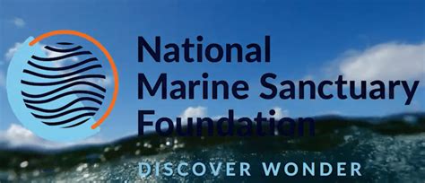 National Marine Sanctuary Foundation Launches New Brand