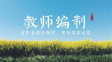 特岗教师、在编、合同制、代课教师有什么不同？ 知乎