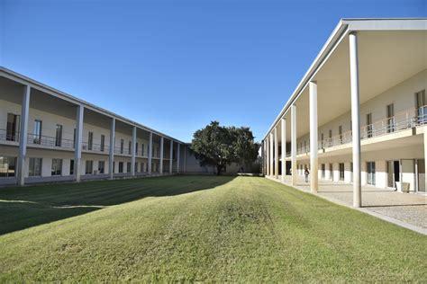 Resumo Das Sessões Presenciais De Receção Aos Novos Estudantes Do 1º