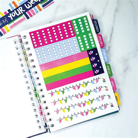 8365 Reminder Binder Planner Jan 2025 June 2026 18 Months By Denise